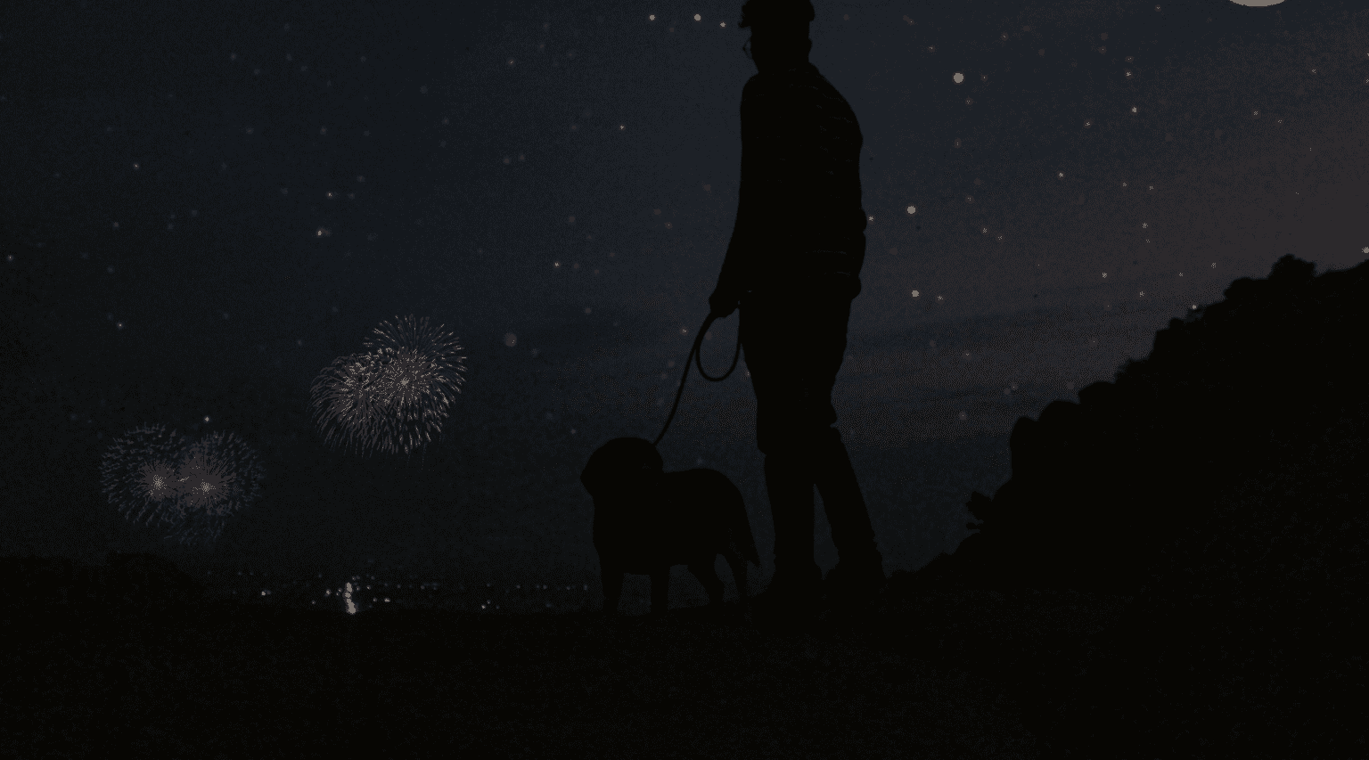 Animal Safety: Ensuring Pet Well-Being on July Fourth - Morning Ag Clips