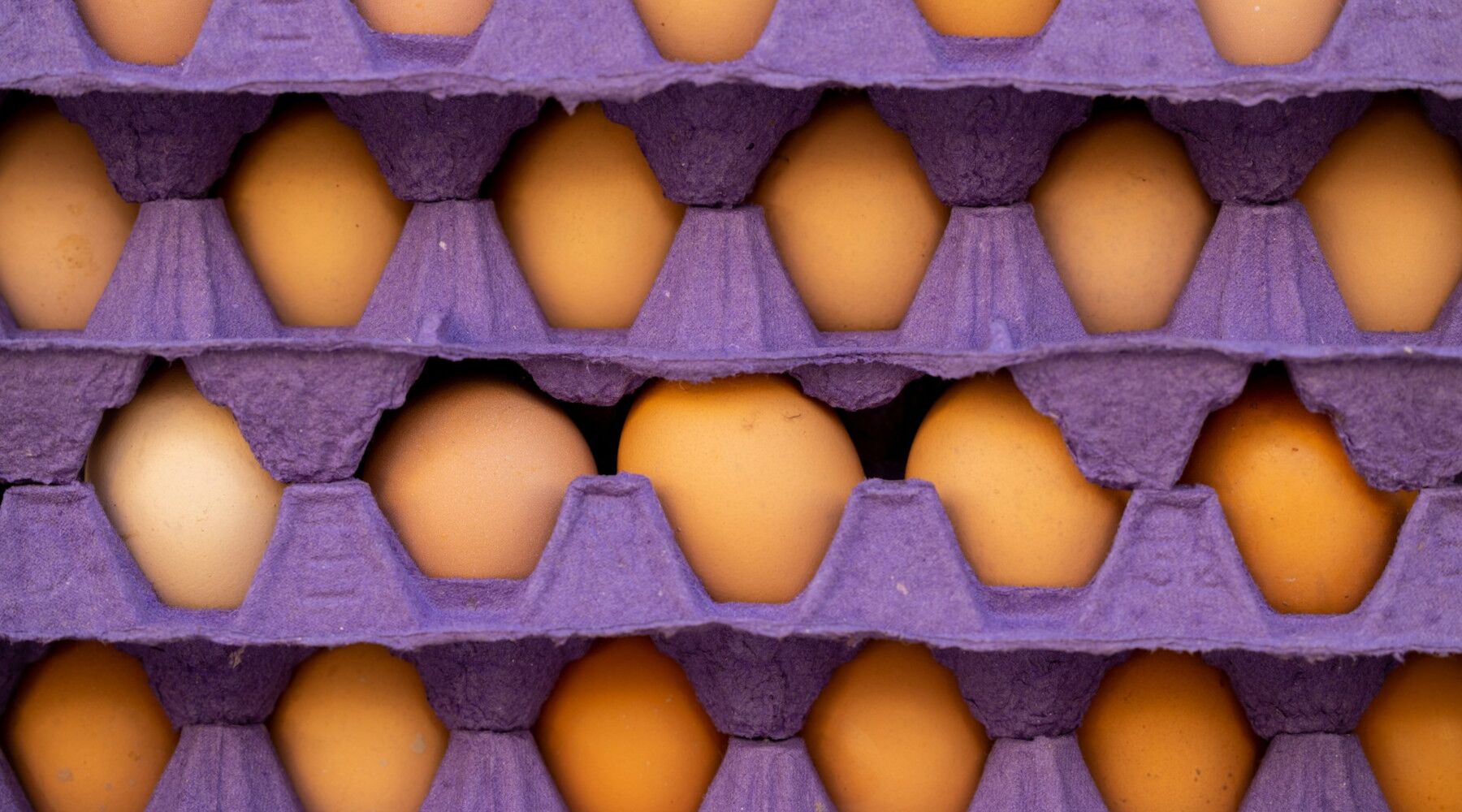 USDA Seeks Nominees for the American Egg Board - Morning Ag Clips