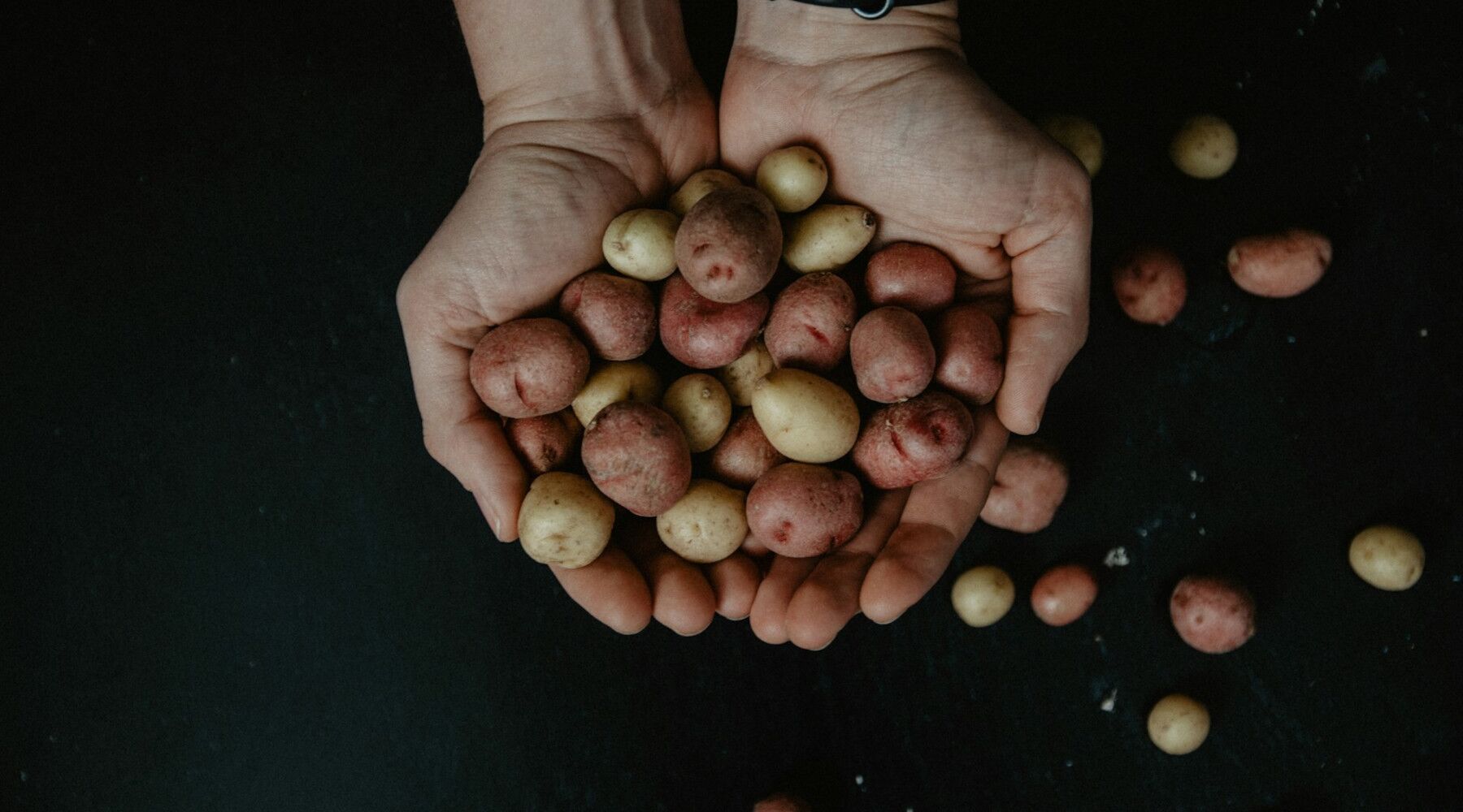 Researchers Have Spent Decades Breeding Better Potatoes for Chips, and ...
