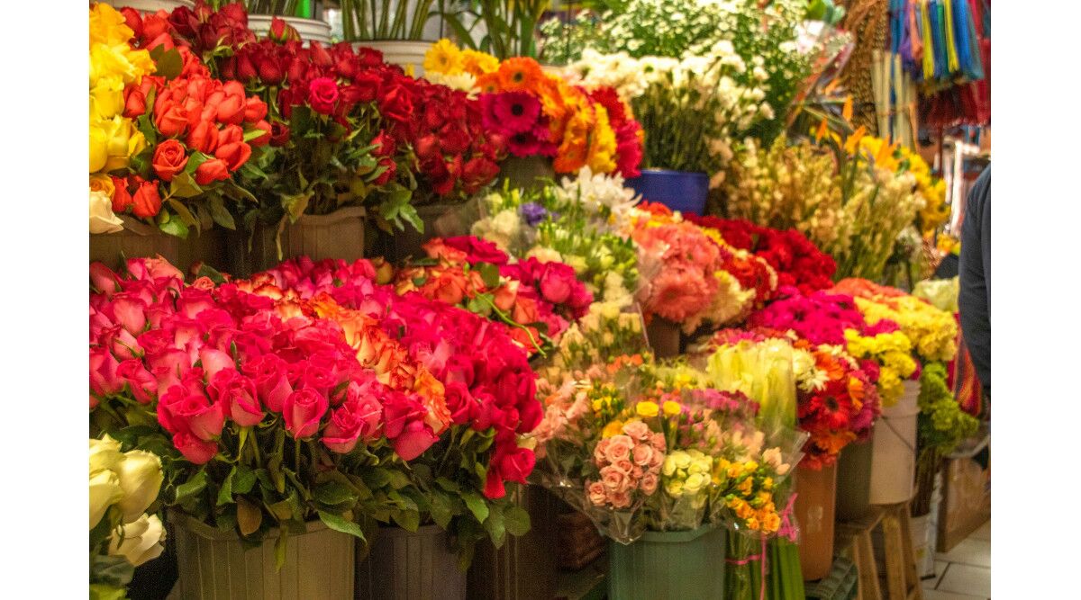 California Department of Food and Agriculture Now Accepting Proposals ...