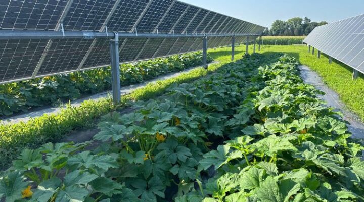 Fact Sheet on Land Use and Tax Considerations for Agrisolar Projects ...