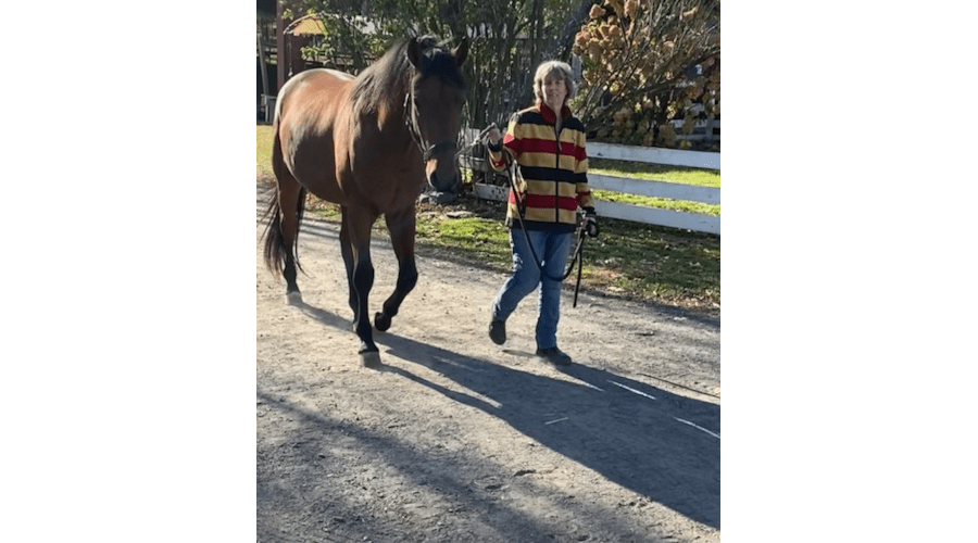 Roberta Jackson Built More Than a Farm - Morning Ag Clips