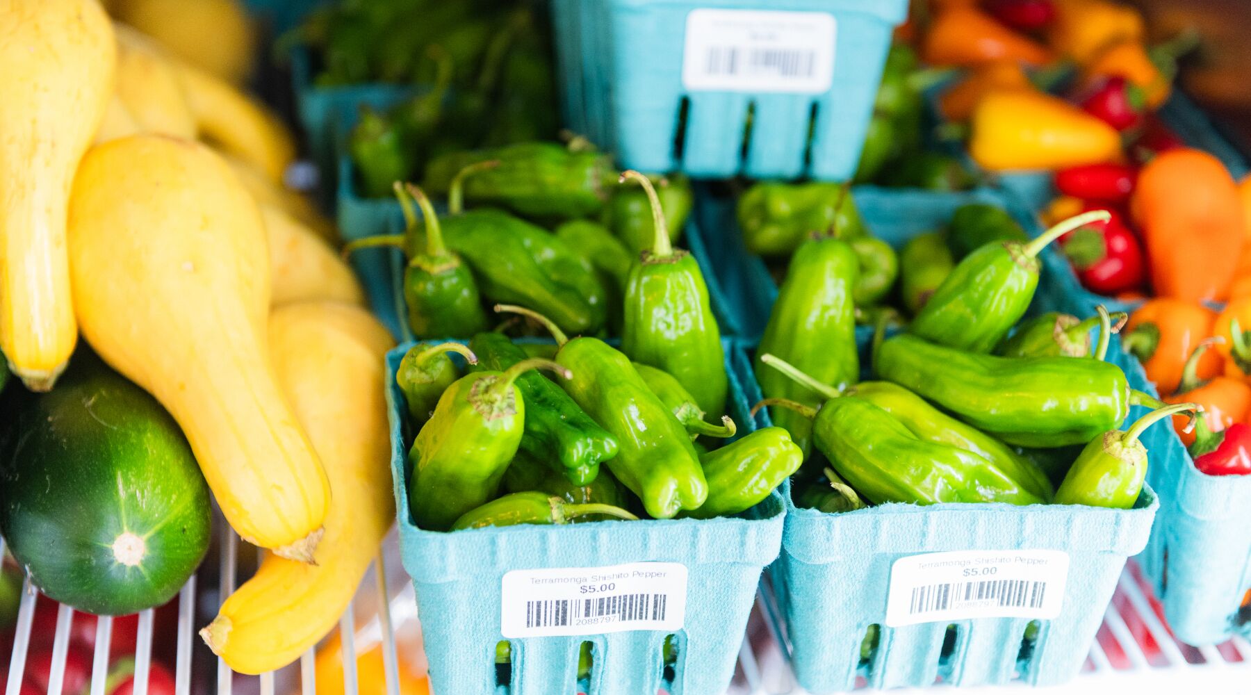 A New Data Brief From ASAP Compares Prices at Farmers Markets and ...