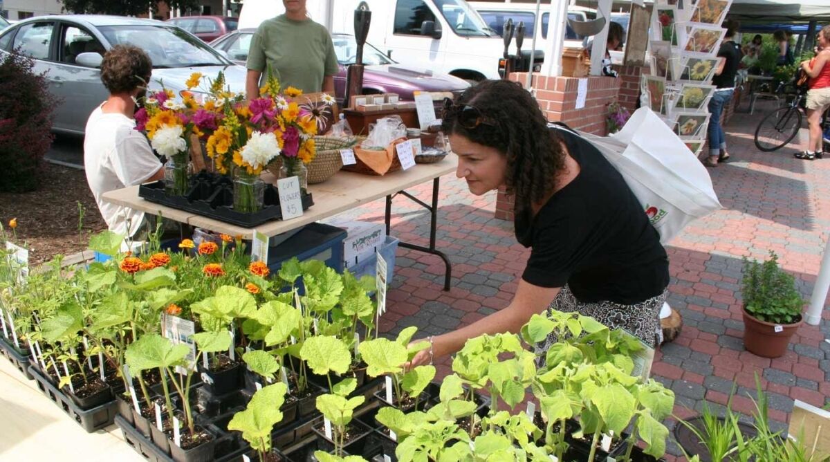 Spring Farmers Markets Support Local Communities With Fresh Finds ...