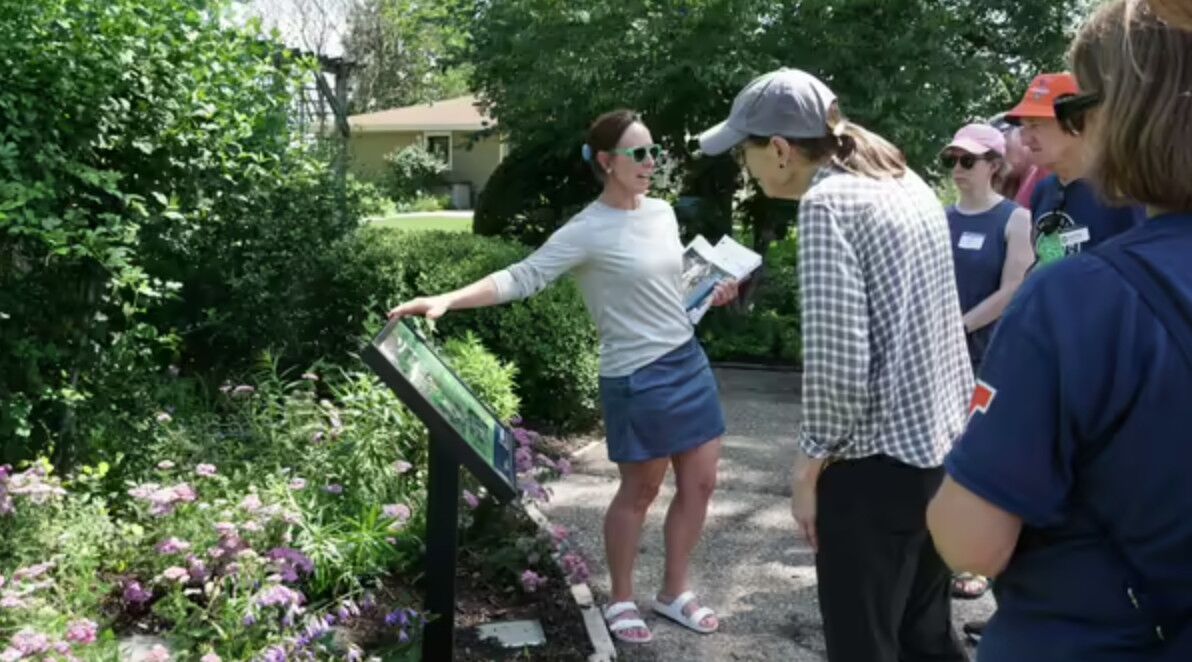Grow Healthier Ecosystems at Home This Pollinator Month - Morning Ag Clips