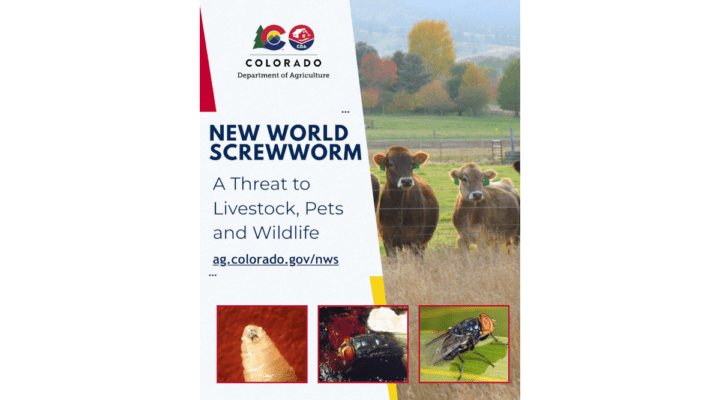 Colorado Implements Proactive Animal Inspection Requirements to Prevent ...