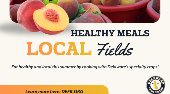 DEFB Launches “Healthy Meals, Local Fields” Campaign to Connect ...