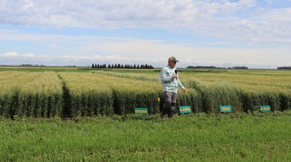 NDSU Carrington Research Extension Center Agronomy Tours Set for Field ...