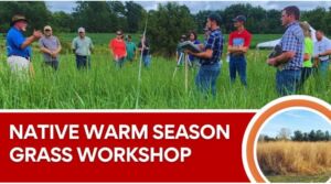 Native Warm Season Grass Forage Workshops - Morning Ag Clips