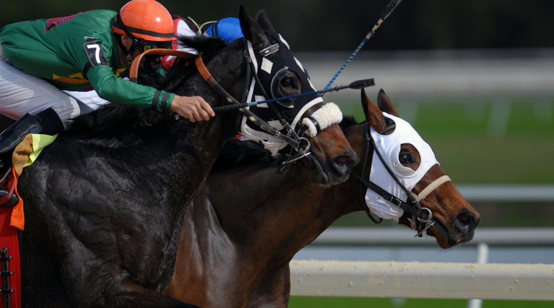 Governor Moore Announces Nicole Earle as Chair of the Maryland Racing ...