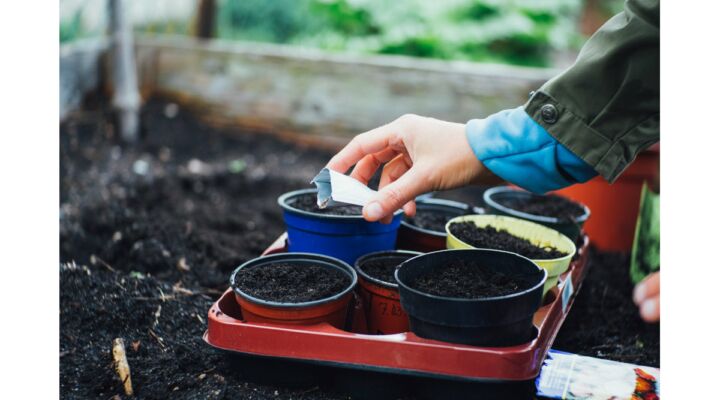 OSA Seed Labeling Database Reaches Industry Milestone Following ...