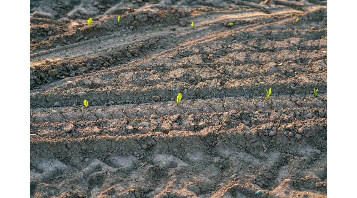 Kansas Corn Welcomes FTC’s Investigation Into Fertilizer Pricing Issue ...