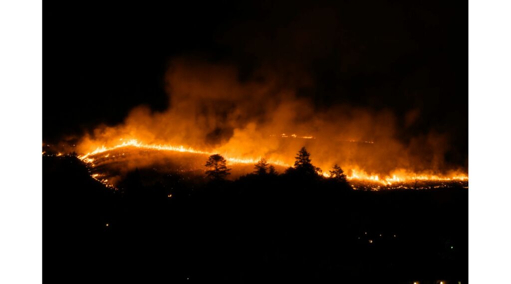 Wildfire Recovery Cost Share Assistance Extended - Morning Ag Clips