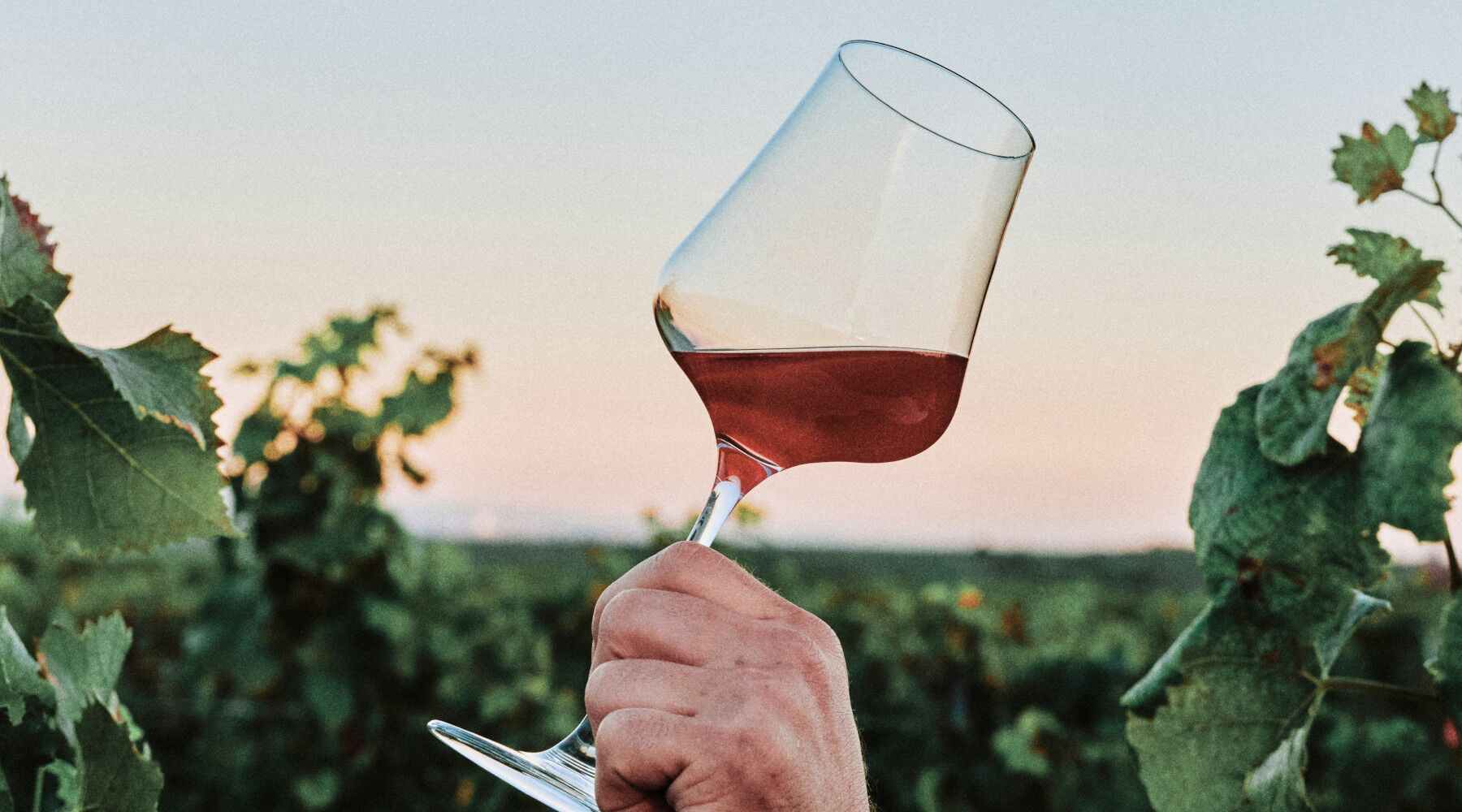 How a COVID Lockdown Helped Make an Award-Winning Winemaker in South ...